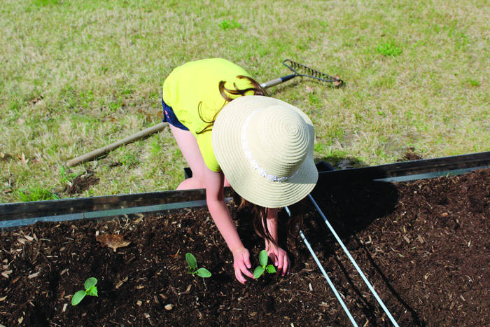 How to Separate Rocks from Dirt and Sow Success - Grit